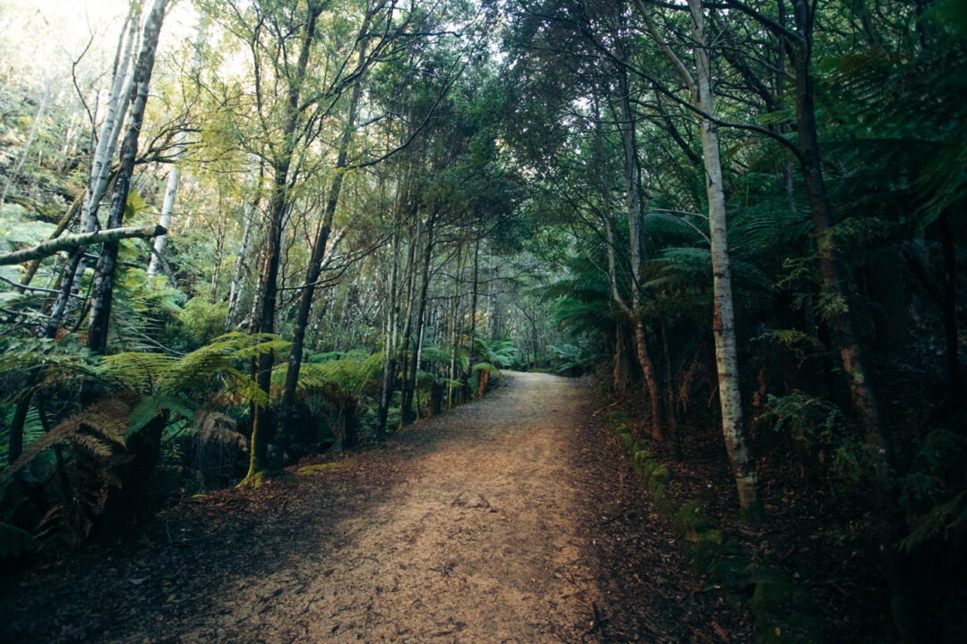 Hiking to Wellington Falls and the Disappearing Tarn, Hobart