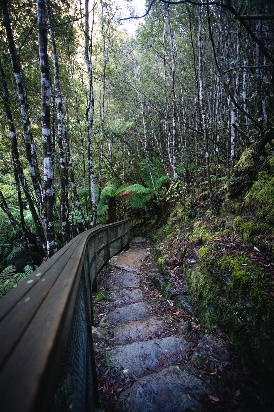 Wellington Falls and the Disappearing Tarn on Mount Wellington ...