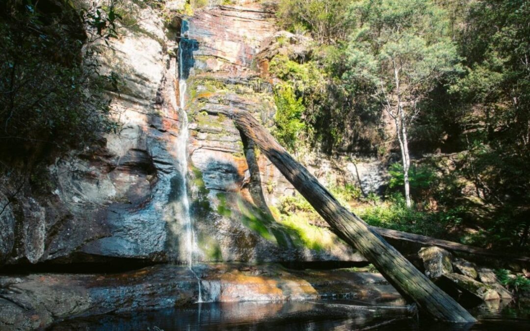 Snug Falls Tasmania: An Awesome Waterfall Walk Near Hobart