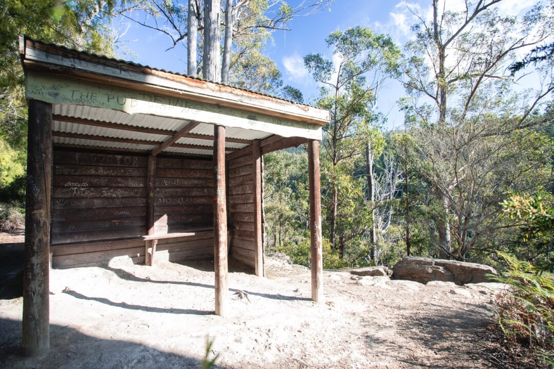 Snug Falls Tasmania: An Awesome Waterfall Walk Near Hobart