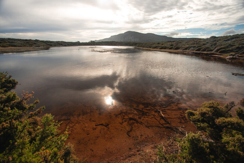 How to Hike Cape Raoul & Shipstern Bluff Track, Tasmania