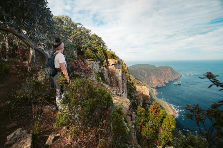 36 Must-Do Hikes in Tasmania: The Ultimate Tasmania Hiking Guide – We ...