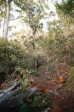 How to Hike Tasmania's Three Capes Track For Free (Camping)