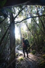 How to Hike Tasmania's Three Capes Track For Free (Camping)