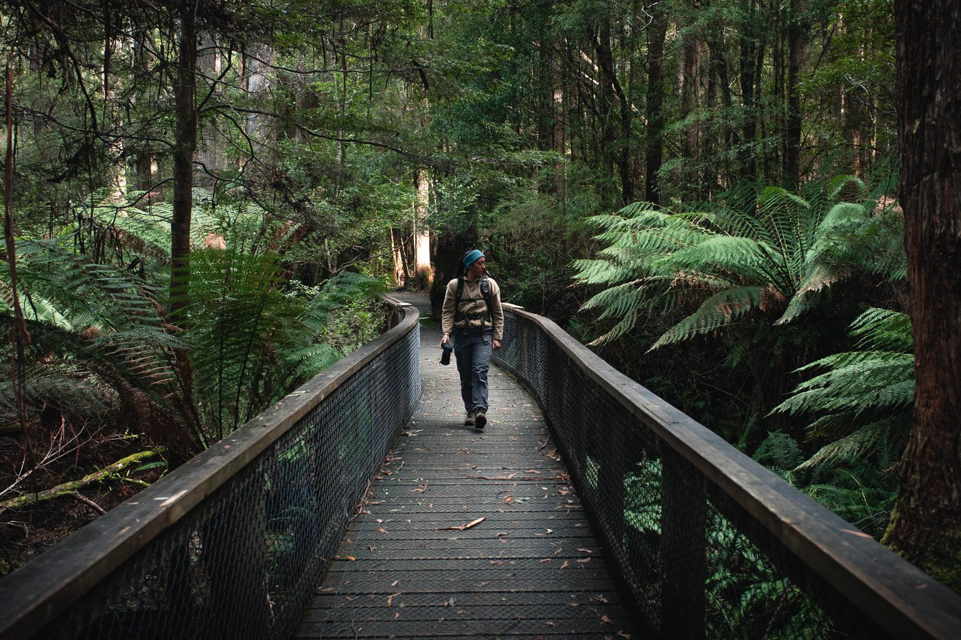 Visiting Hastings Caves and Thermal Springs: Tasmania's Best Cave Tour ...
