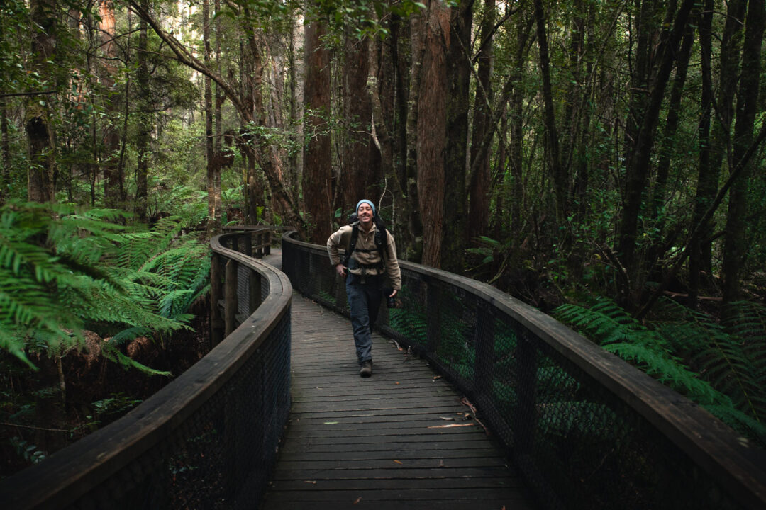 Visiting Hastings Caves and Thermal Springs: Tasmania's Best Cave Tour ...