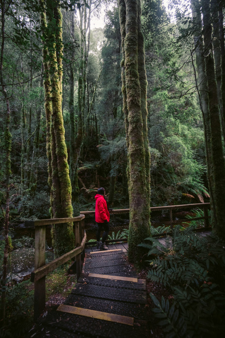 8 Awesome Things to do at Strahan & the West Coast (Tasmania) – We Seek ...