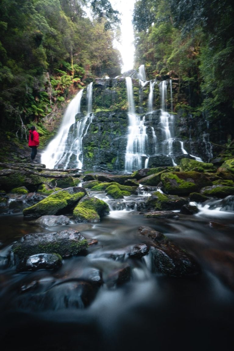 Nelson Falls Tasmania - Complete Waterfall Guide – We Seek Travel