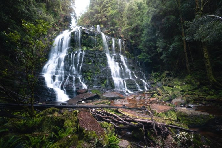 How to Visit Nelson Falls in Tasmania & What to Expect