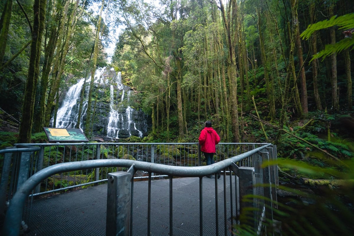 Nelson Falls Tasmania - Complete Waterfall Guide – We Seek Travel
