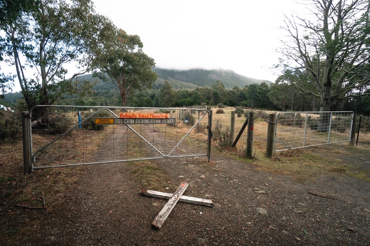 Hiking Guide to The Quamby Bluff Walk in Tasmania