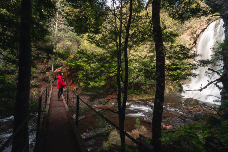 Bridal Veil & Champagne Falls in Cradle Mountain, Tasmania