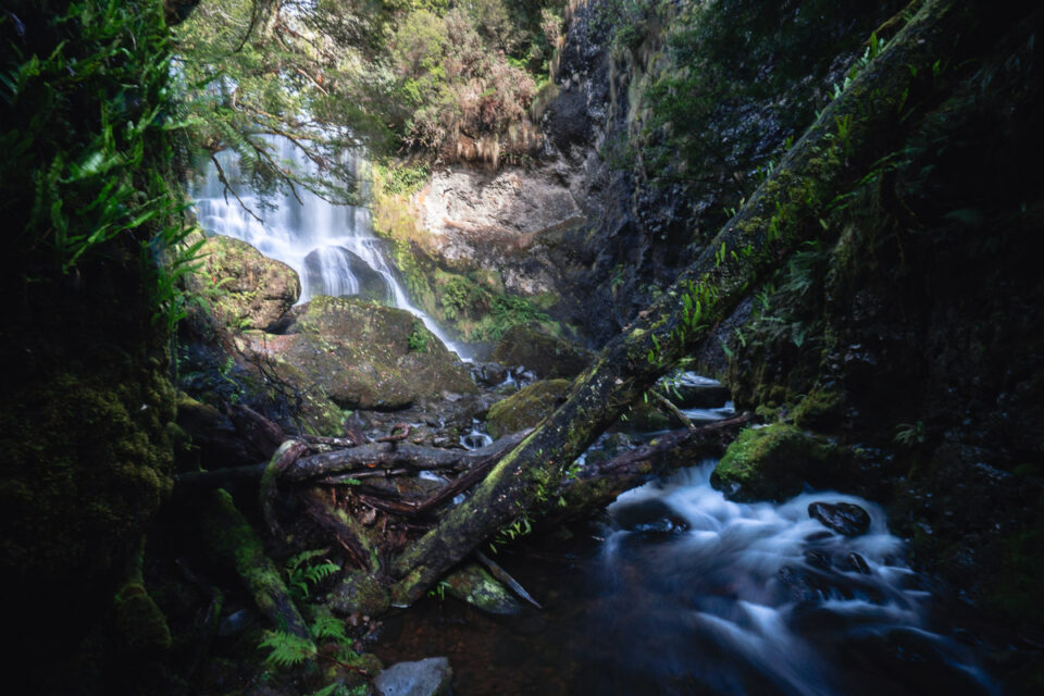 36 Must-Do Hikes in Tasmania: The Ultimate Tasmania Hiking Guide