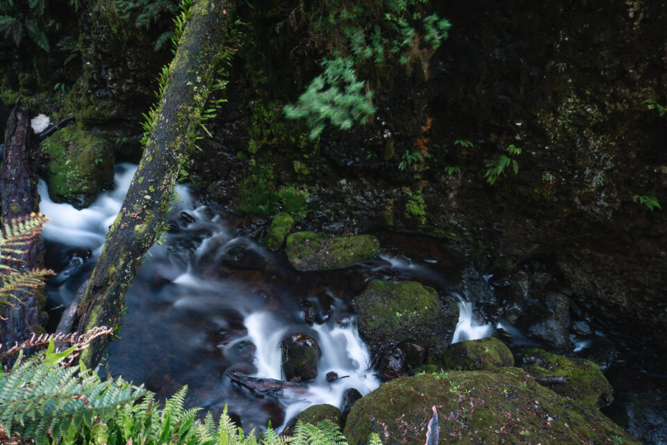 Bridal Veil & Champagne Falls in Cradle Mountain, Tasmania