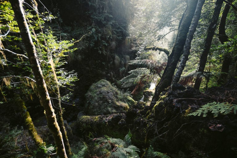 Bridal Veil & Champagne Falls in Cradle Mountain, Tasmania