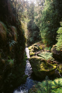 Bridal Veil Falls & Champagne Falls (Tasmania) - Epic Cradle Mountain ...
