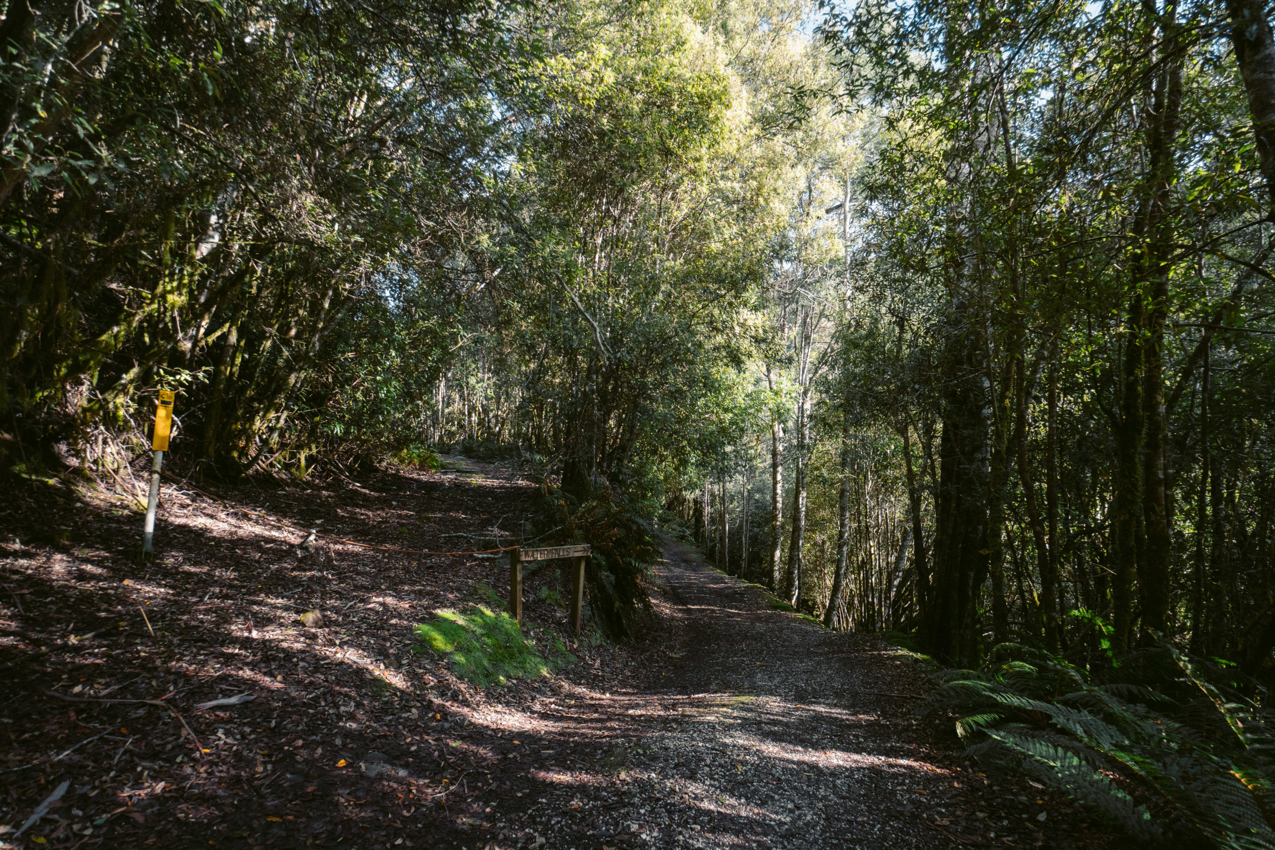 Bridal Veil & Champagne Falls in Cradle Mountain, Tasmania