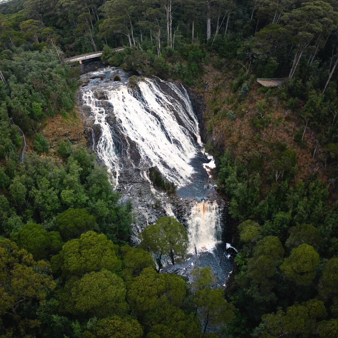 Dip Falls Tasmania: Epic Waterfall & Big Tree Walk