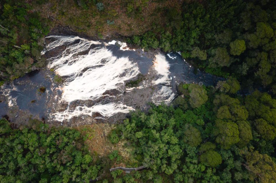 Dip Falls Tasmania: Epic Waterfall & Big Tree Walk