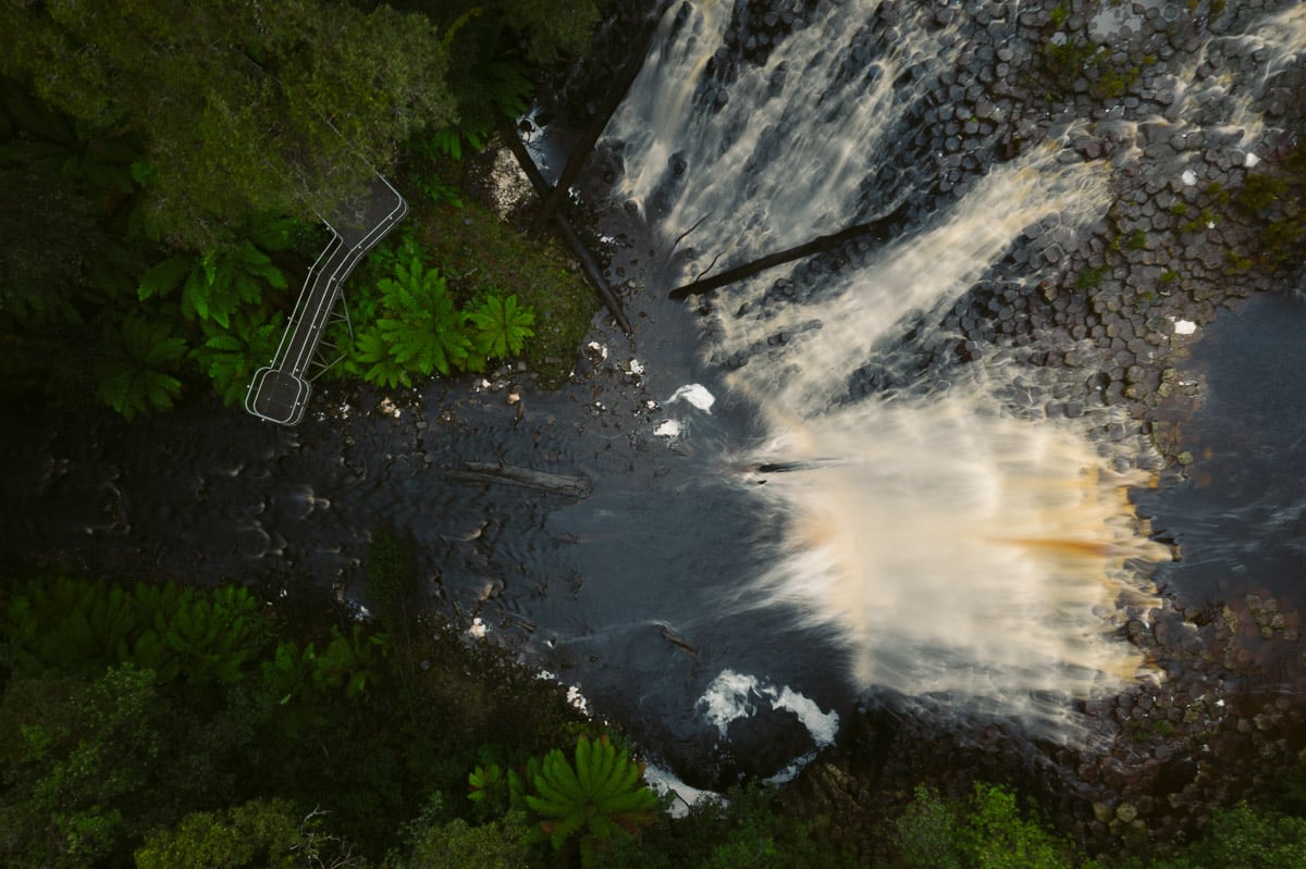 Dip Falls Tasmania: Epic Waterfall & Big Tree Walk