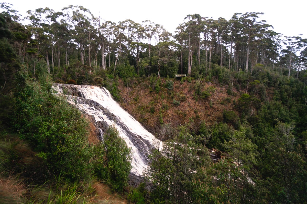 Dip Falls Tasmania: Epic Waterfall & Big Tree Walk
