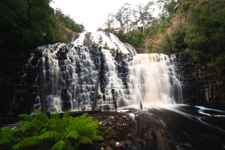 Dip Falls Tasmania: Epic Waterfall & Big Tree Walk