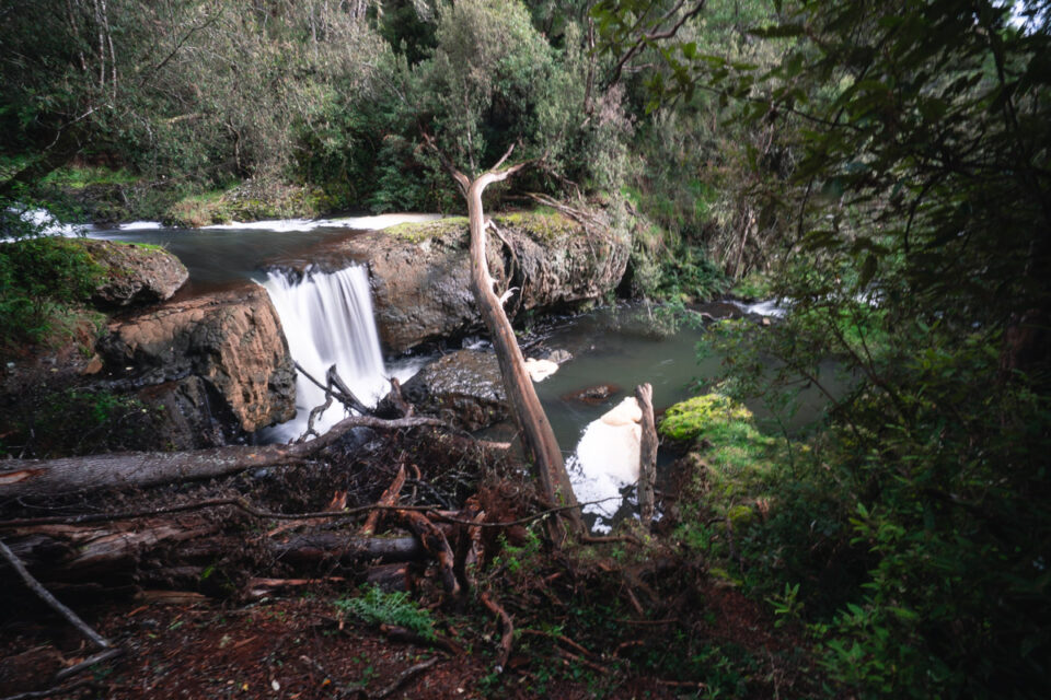 How to Visit Guide Falls in Tasmania & What to Expect