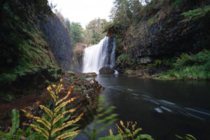How to Visit Guide Falls in Tasmania & What to Expect