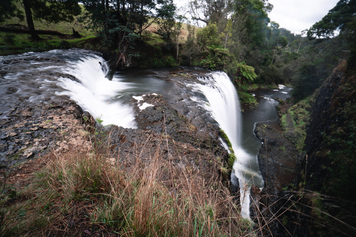 Guide Falls Tasmania - Everything You Need to Know – We Seek Travel