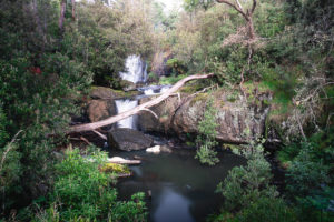 How to Visit Guide Falls in Tasmania & What to Expect