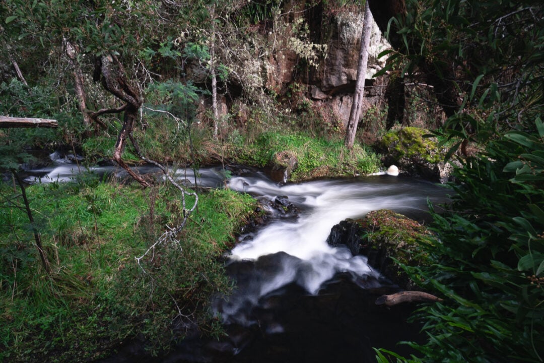 How to Visit Guide Falls in Tasmania & What to Expect