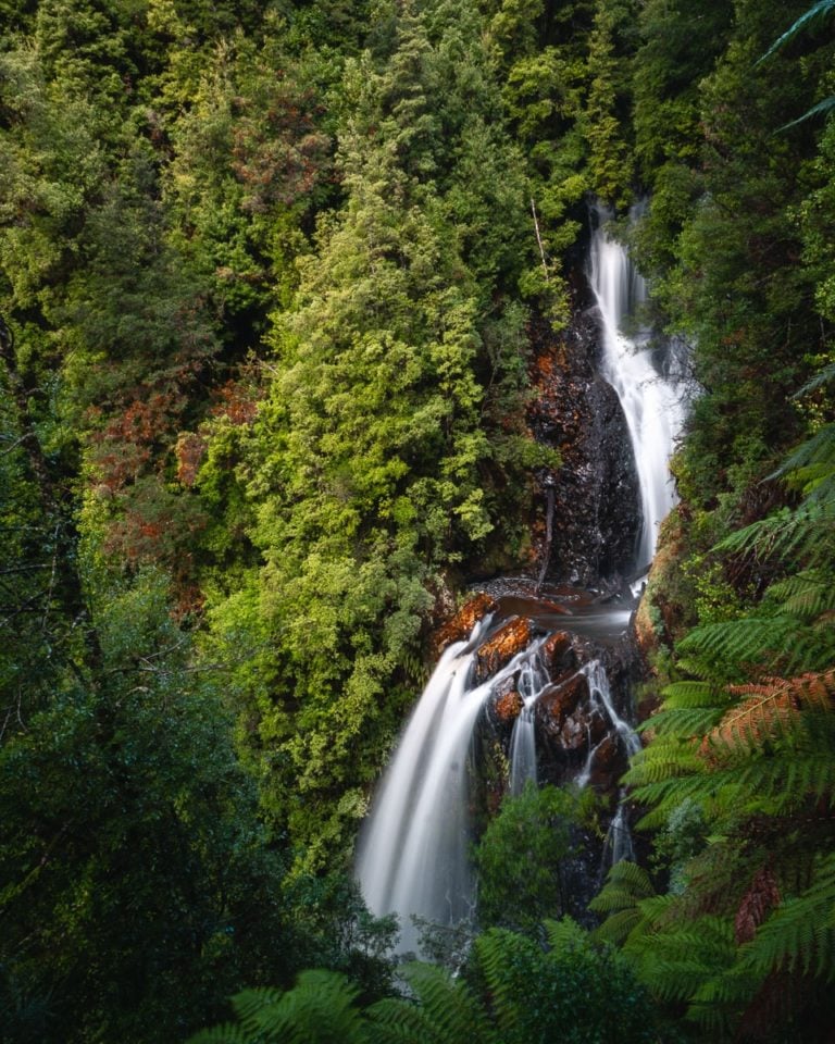 Philosopher Falls Tasmania: Waterfall Guide