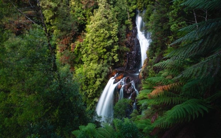 Philosopher Falls Tasmania: Waterfall Guide