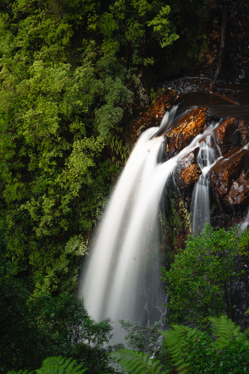 26 Incredible Waterfalls in Tasmania - The Tasmania Waterfall List – We ...