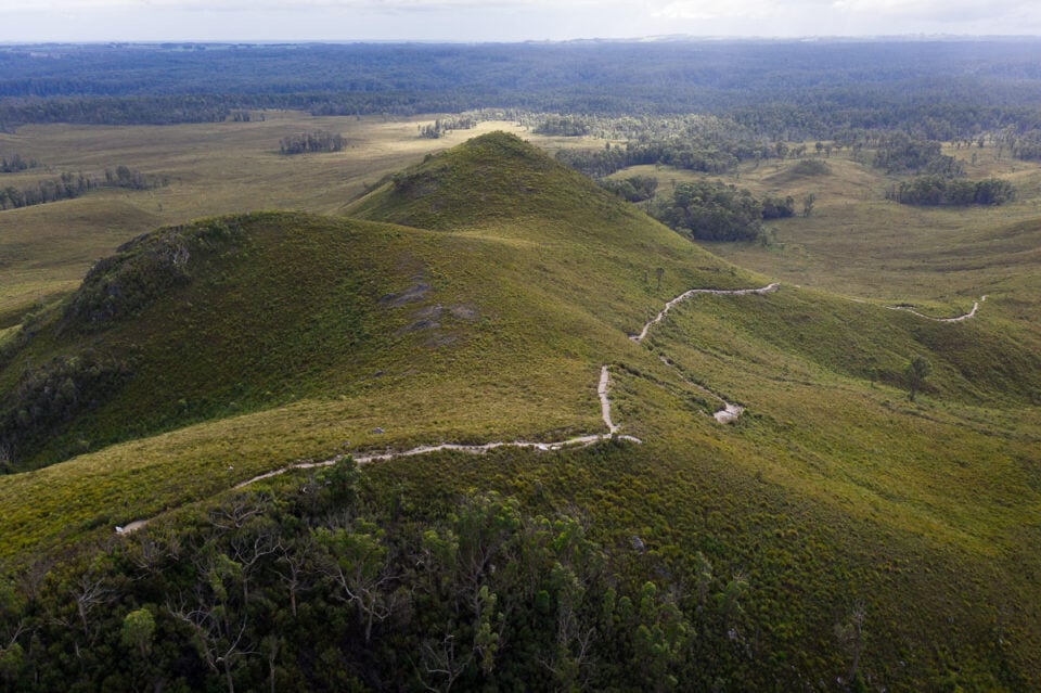 A Complete Guide to the Tarkine Drive in Tasmania