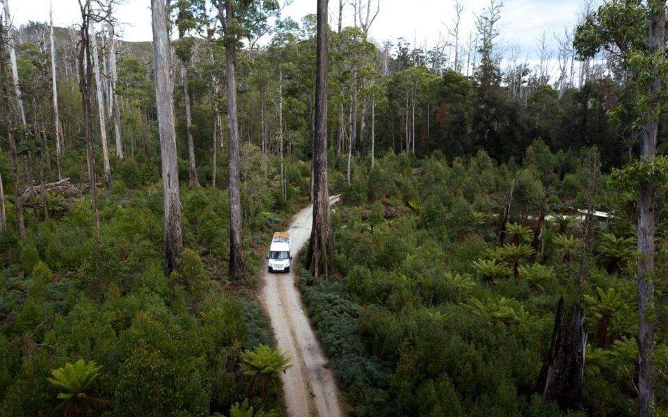 A Complete Guide to the Tarkine Drive in Tasmania
