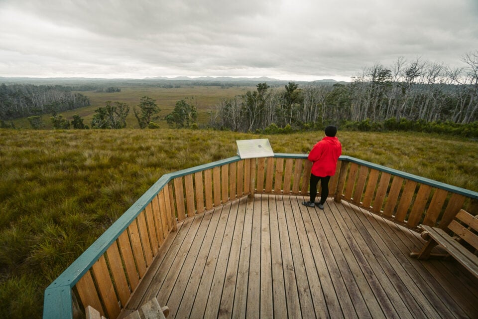 A Complete Guide to the Tarkine Drive in Tasmania