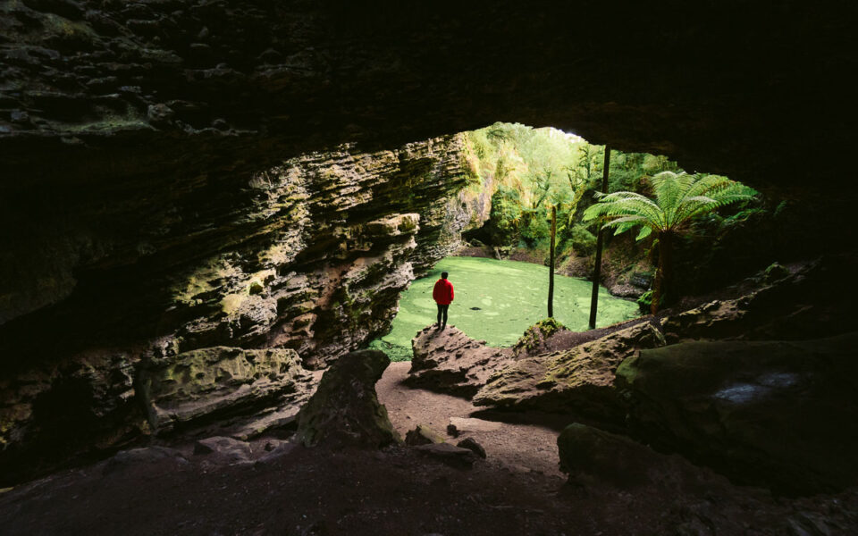 Trowutta Arch: Unmissable Short Tarkine Walk in Tasmania