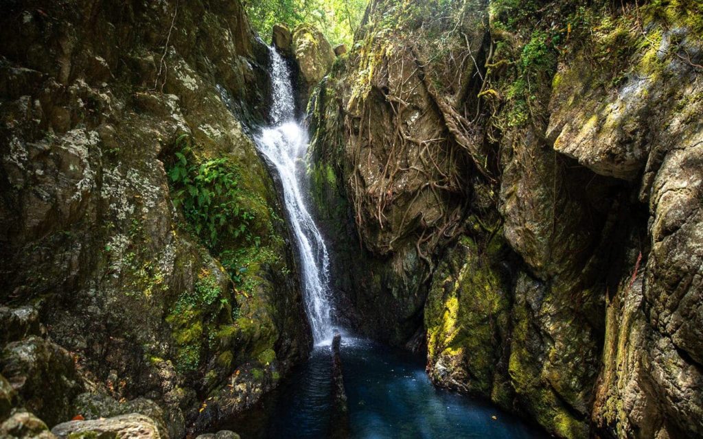 Windin Falls Hike: Infinity Pool Waterfall Near Cairns