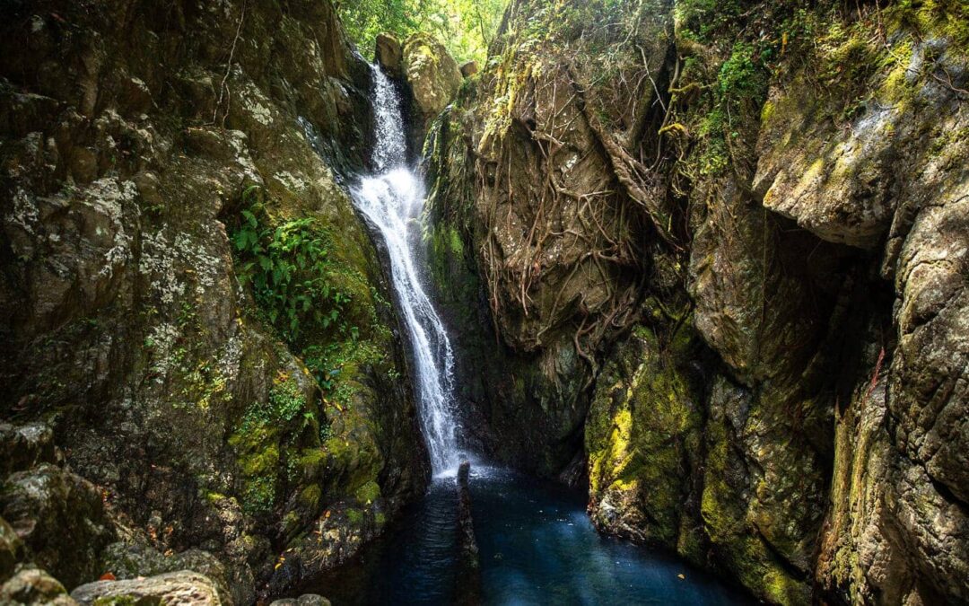 Windin Falls Hike: Infinity Pool Waterfall Near Cairns