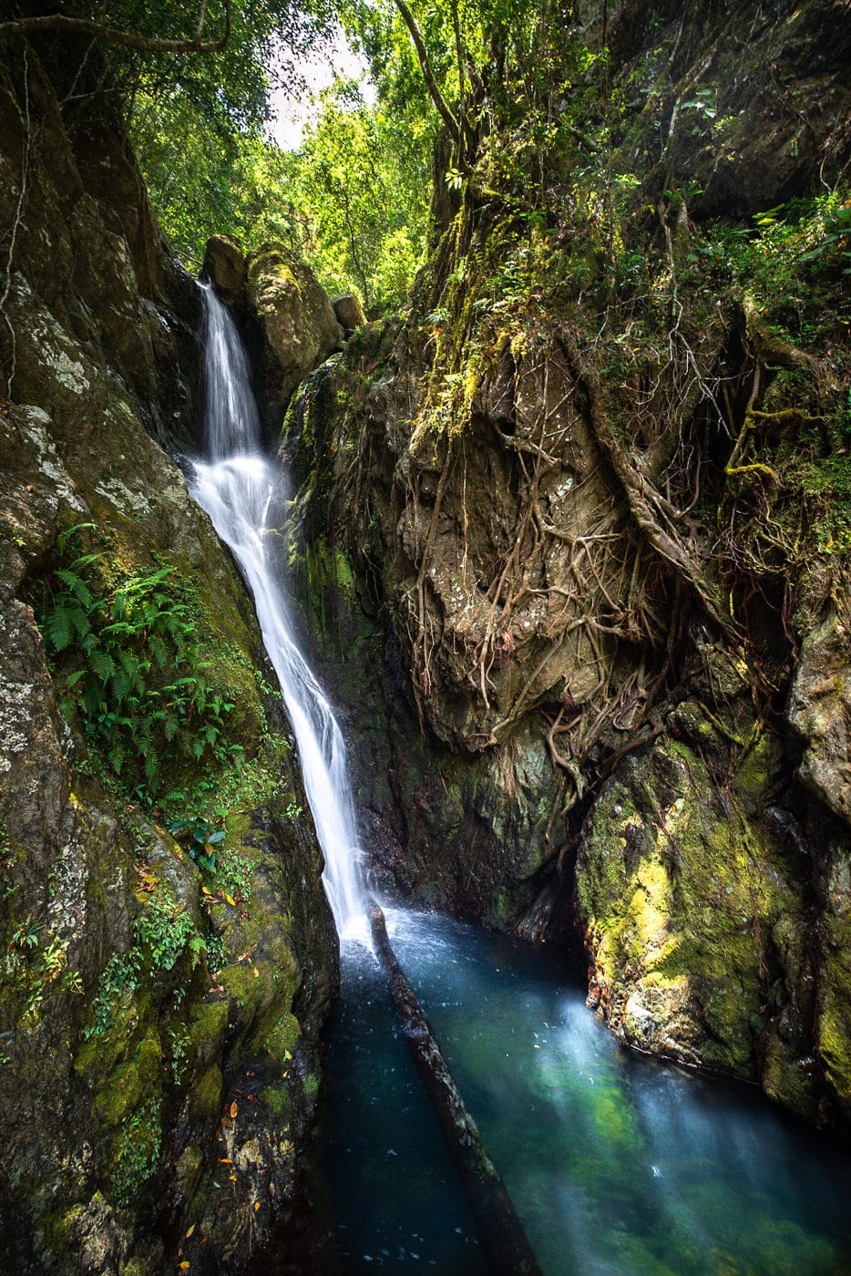 Fairy Falls Cairns - The Hidden Waterfall at the Crystal Cascades – We ...