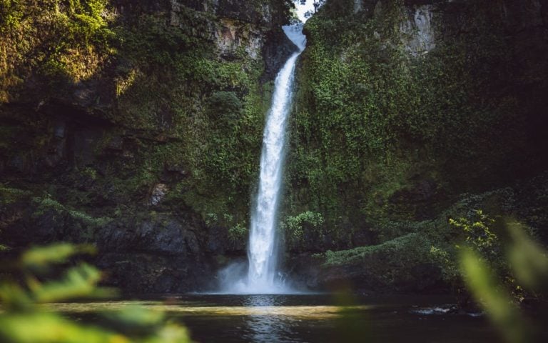 33 Best Waterfalls in Cairns: Complete Guide + Map
