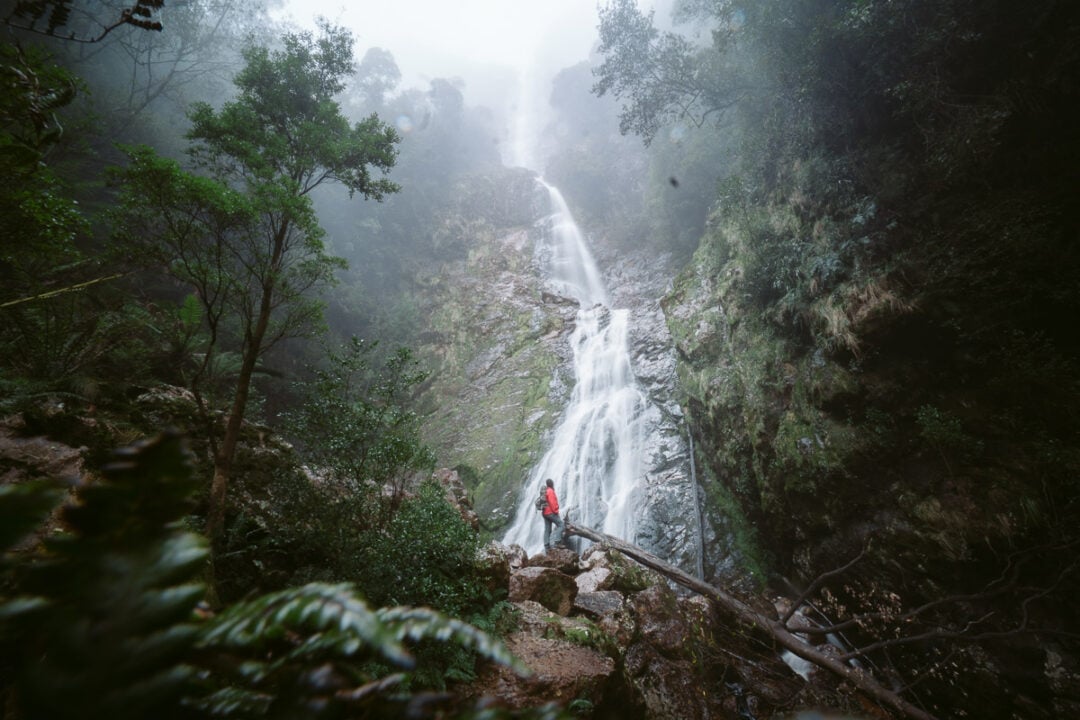 26 Incredible Waterfalls in Tasmania With Map