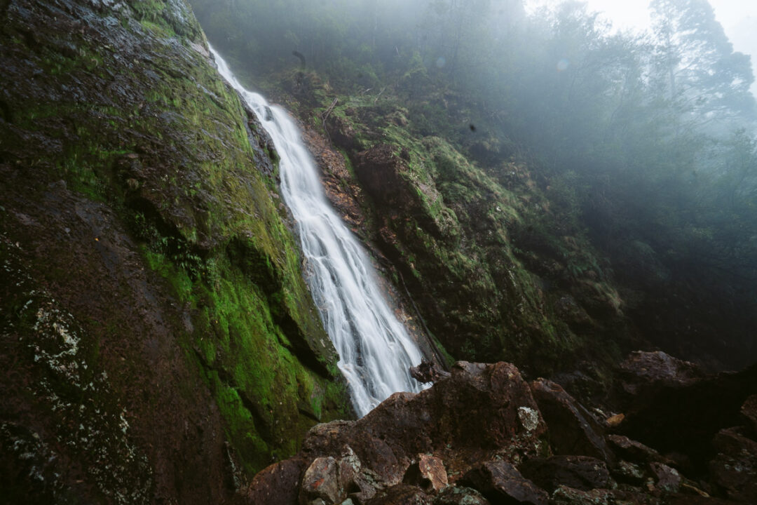 How to Visit Montezuma Falls: Tasmania's Tallest Waterfall