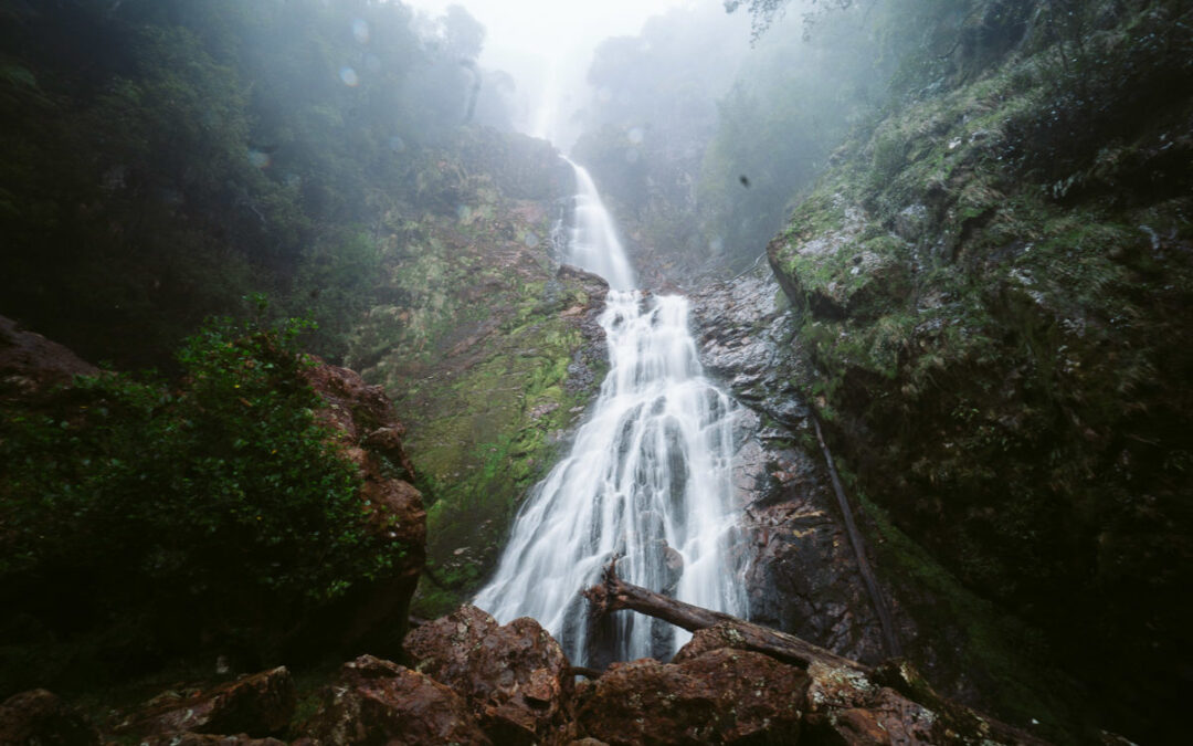 How to Visit Montezuma Falls: Tasmania's Tallest Waterfall