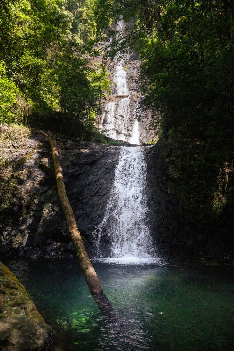 Alexandra Falls Hike: Daintree Waterfall at Cape Tribulation