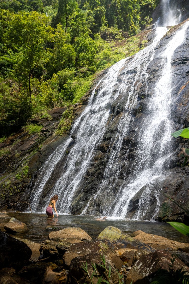 A Hike to Alexandra Falls, Daintree National Park (Cape Tribulation ...