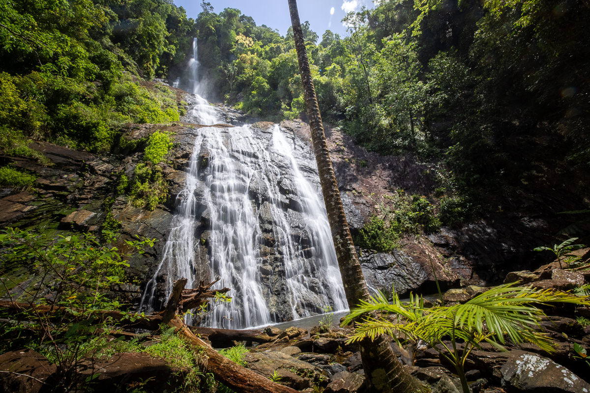 A Hike to Alexandra Falls, Daintree National Park (Cape Tribulation ...