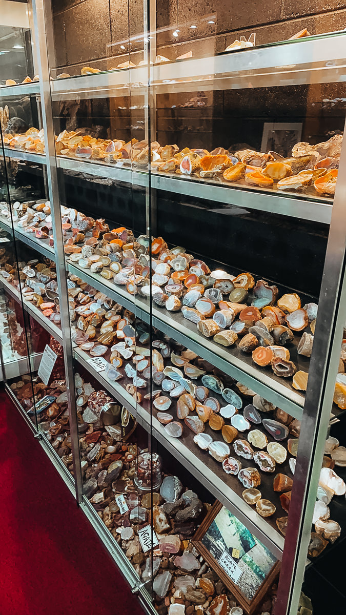 14 Awesome Things to do in Kuranda, Australia – We Seek Travel Blog