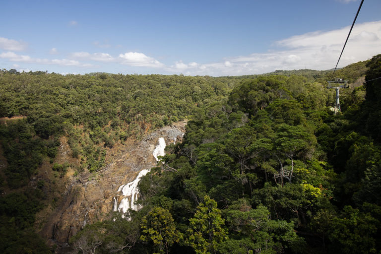 How to Visit Barron Falls From Cairns: Complete Guide